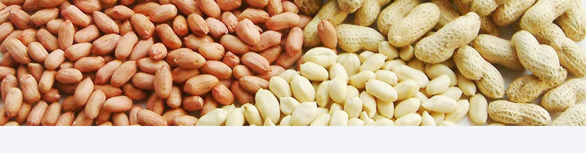 PEANUT COLOR SORTER - PEANUT SORTING MACHINE