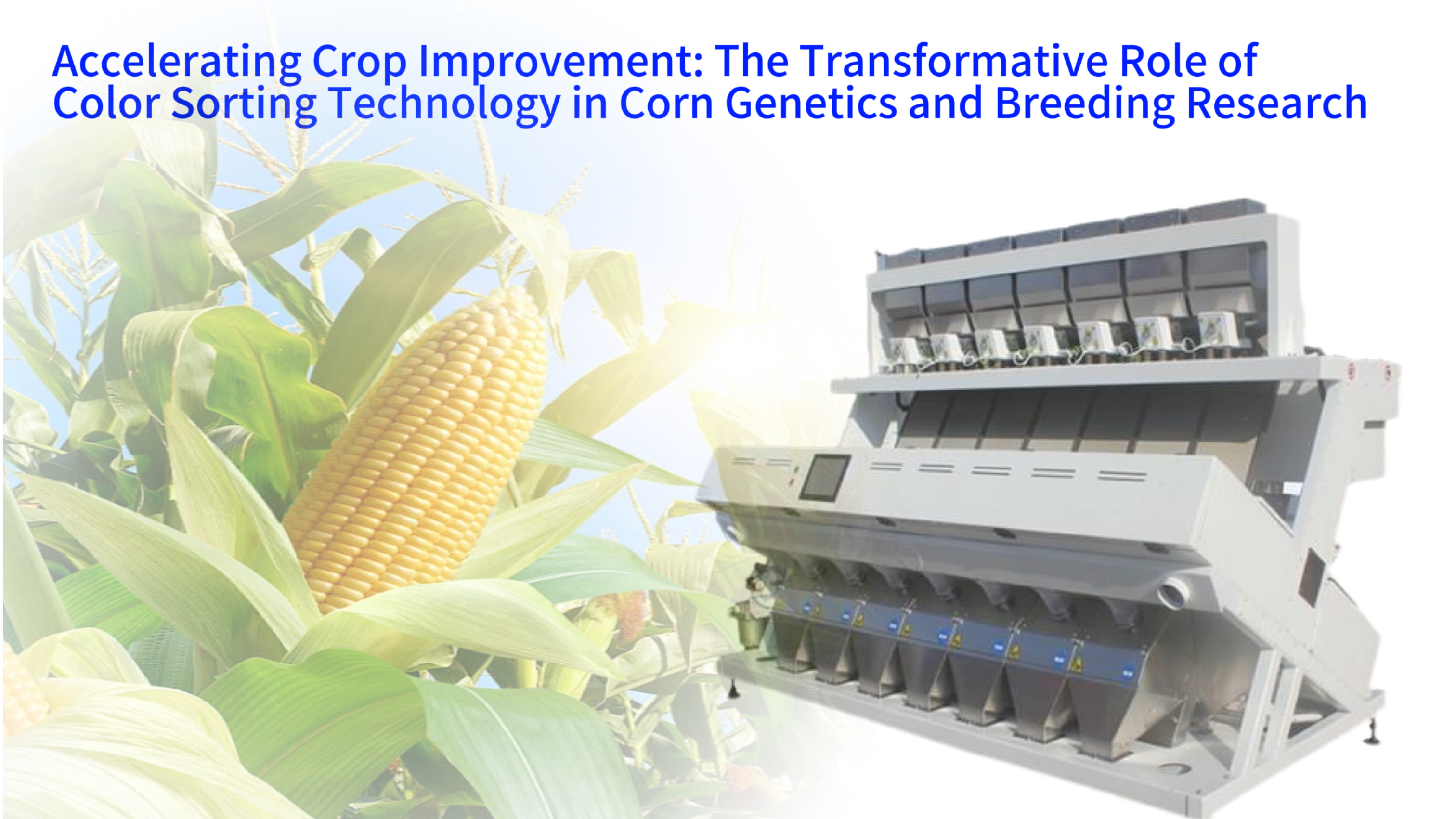 Accelerating Crop Improvement: The Transformative Role of Color Sorting ...